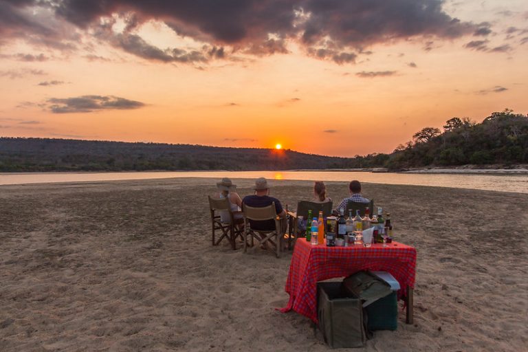 Selous Game Reserve Tanzania (Nyerere National Park) A Safari Guide